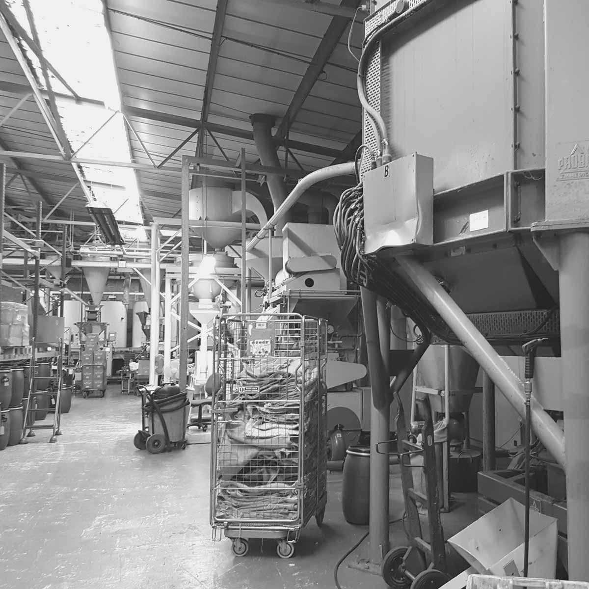 Ferns History — 2468 | Workplace Appreciation | Ireland & UK